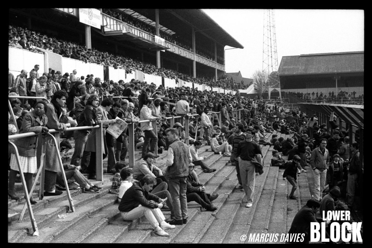 White Hart Lane, 1985 | A Quiet Portrait - Lower Block